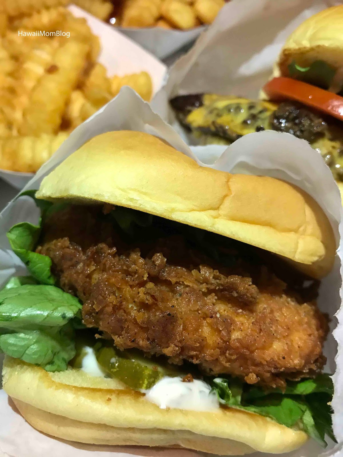 Hawaii Mom Blog: Visit Boston: Shake Shack