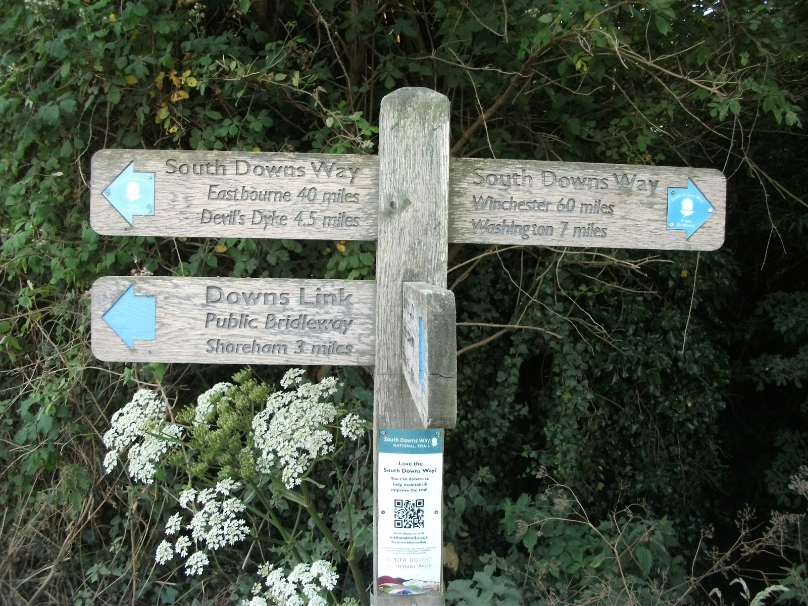 Paul Jonsson (Walking from Woking): Downs Link Walk July 2018 - Woking ...