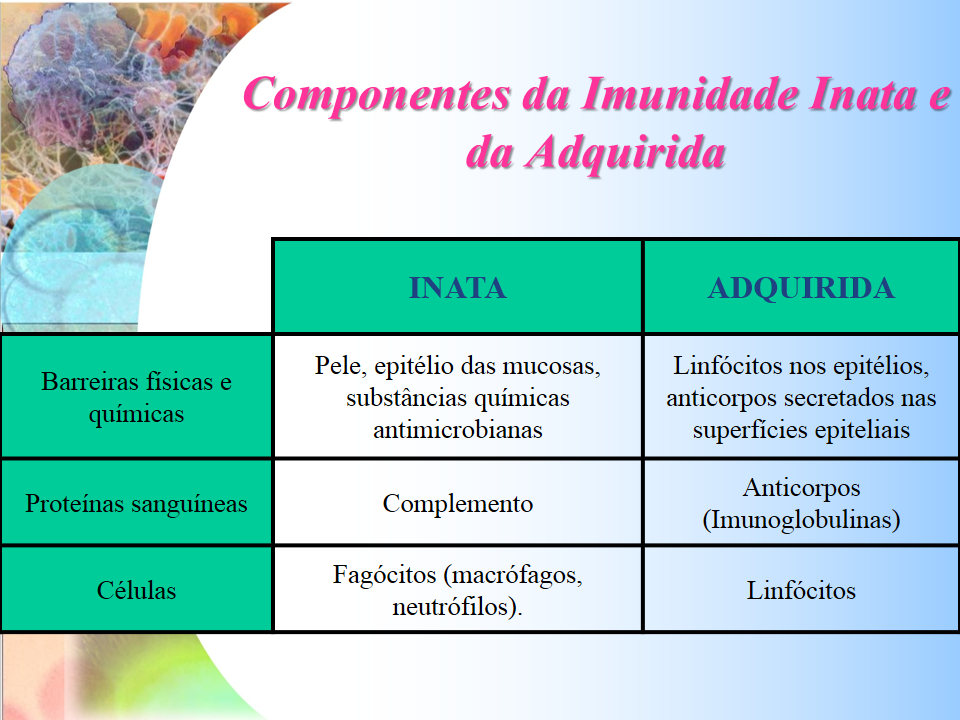 ABOUT HEALTH: Mecanismo da Resposta Imune