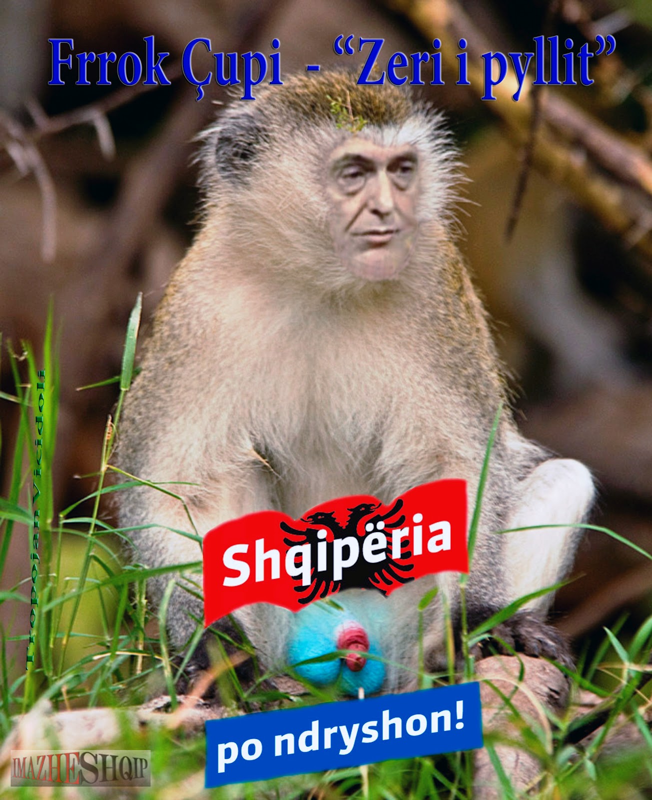 Imazhe Shqip: 2012-04-01