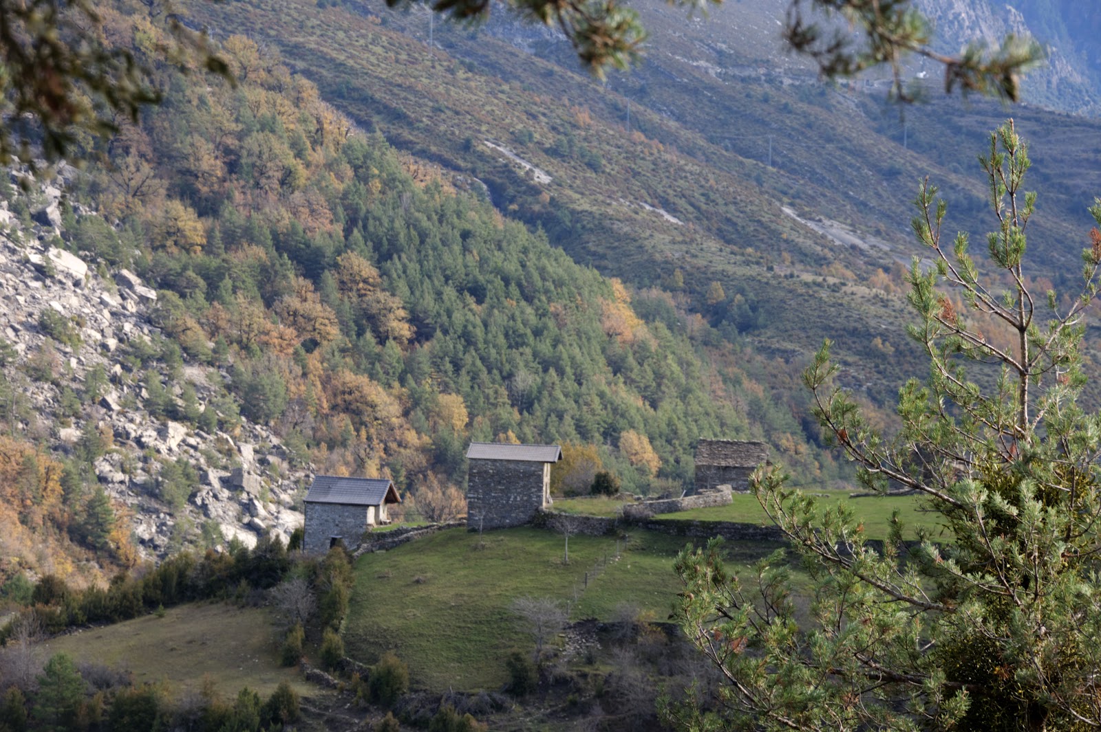 Fotos y otras cosas: Fanlo y Buisán