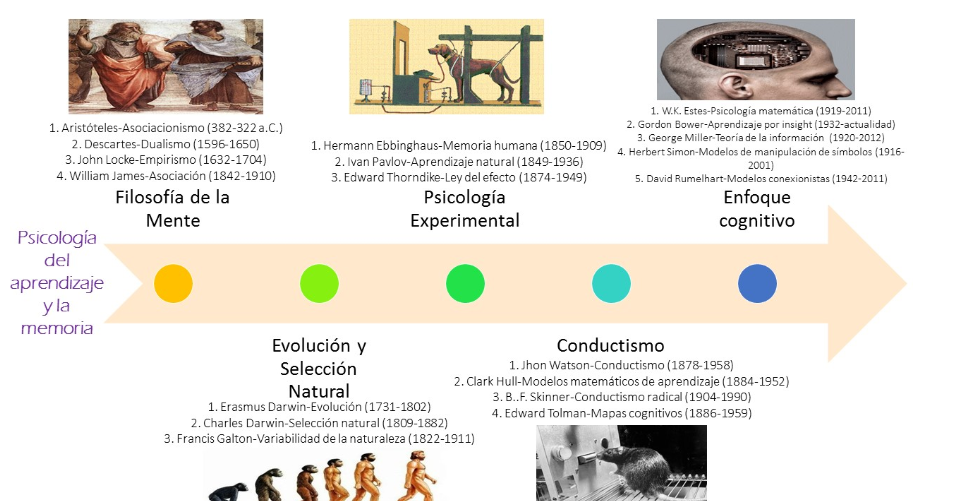 MODELOS ASOCIACIONISTAS E INNATISTAS DEL APRENDIZAJE: Principales ...