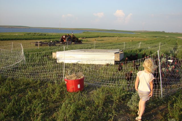 Morning Joy Farm: Factory vs. Family Farms & Enriched Colony Cages