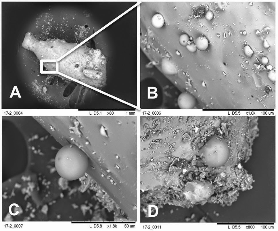 Sciency Thoughts: A second naturally occurring quasicrystal from the ...