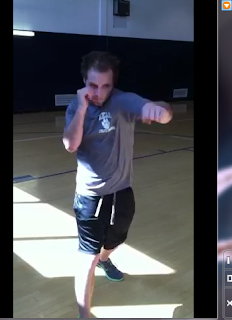 Movement Analysis Blog: Straight Punch Movement