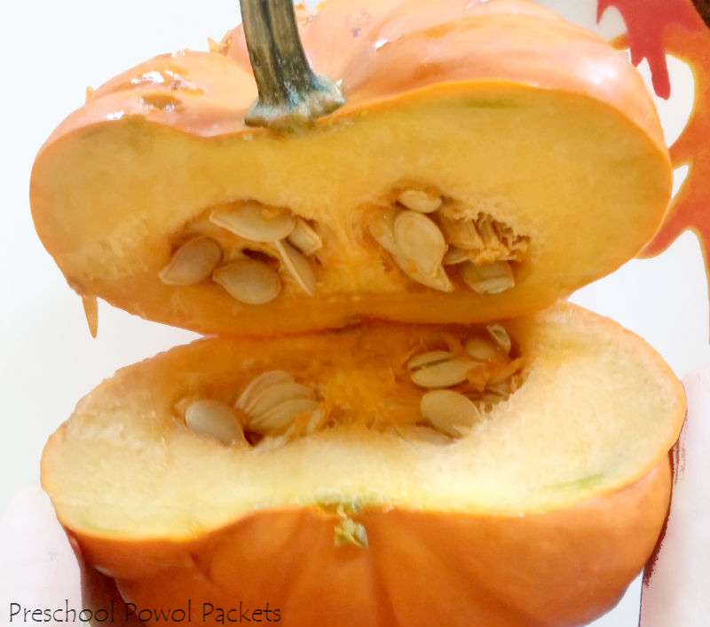 Preschool Pumpkin Skin Experiment ~ Preschool Science | Preschool Powol ...