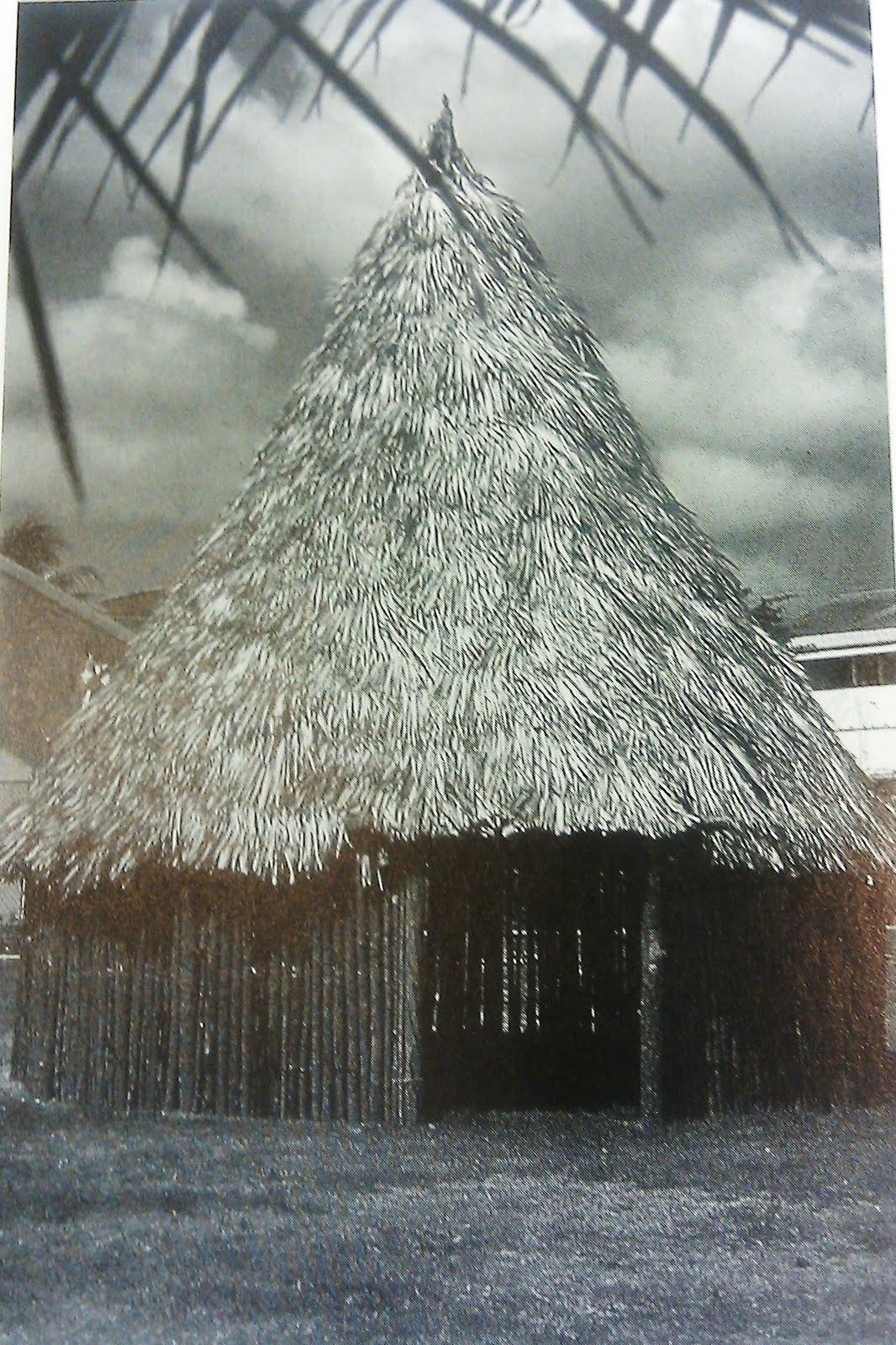 Veluxe Interiors: Caribbean Architecture