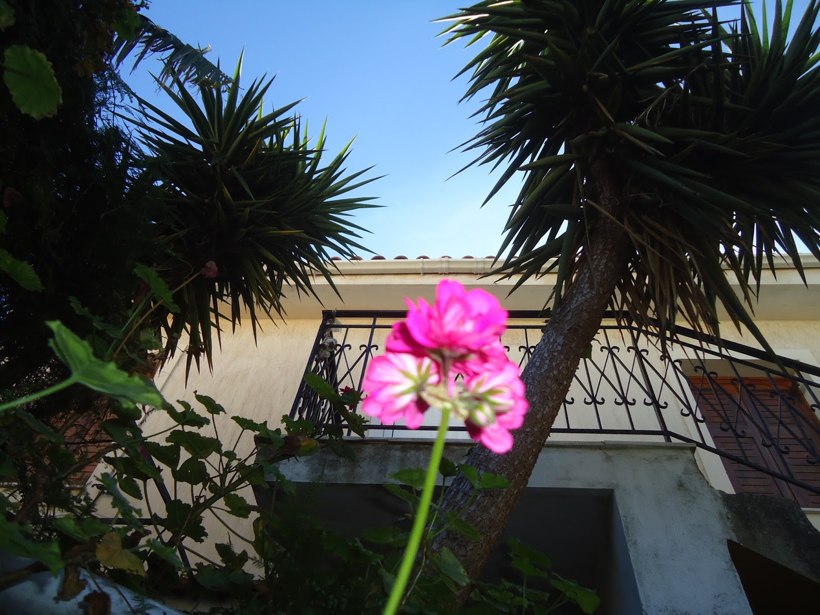 ΣΥΛΛΟΓΗ ΕΙΚΑΣΤΙΚΩΝ ΕΡΓΩΝ / VILLA ΡΟΔΟΠΗ: 2015