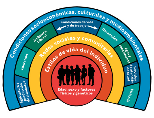 Salud y Sociedad: Factores que intervienen en la salud
