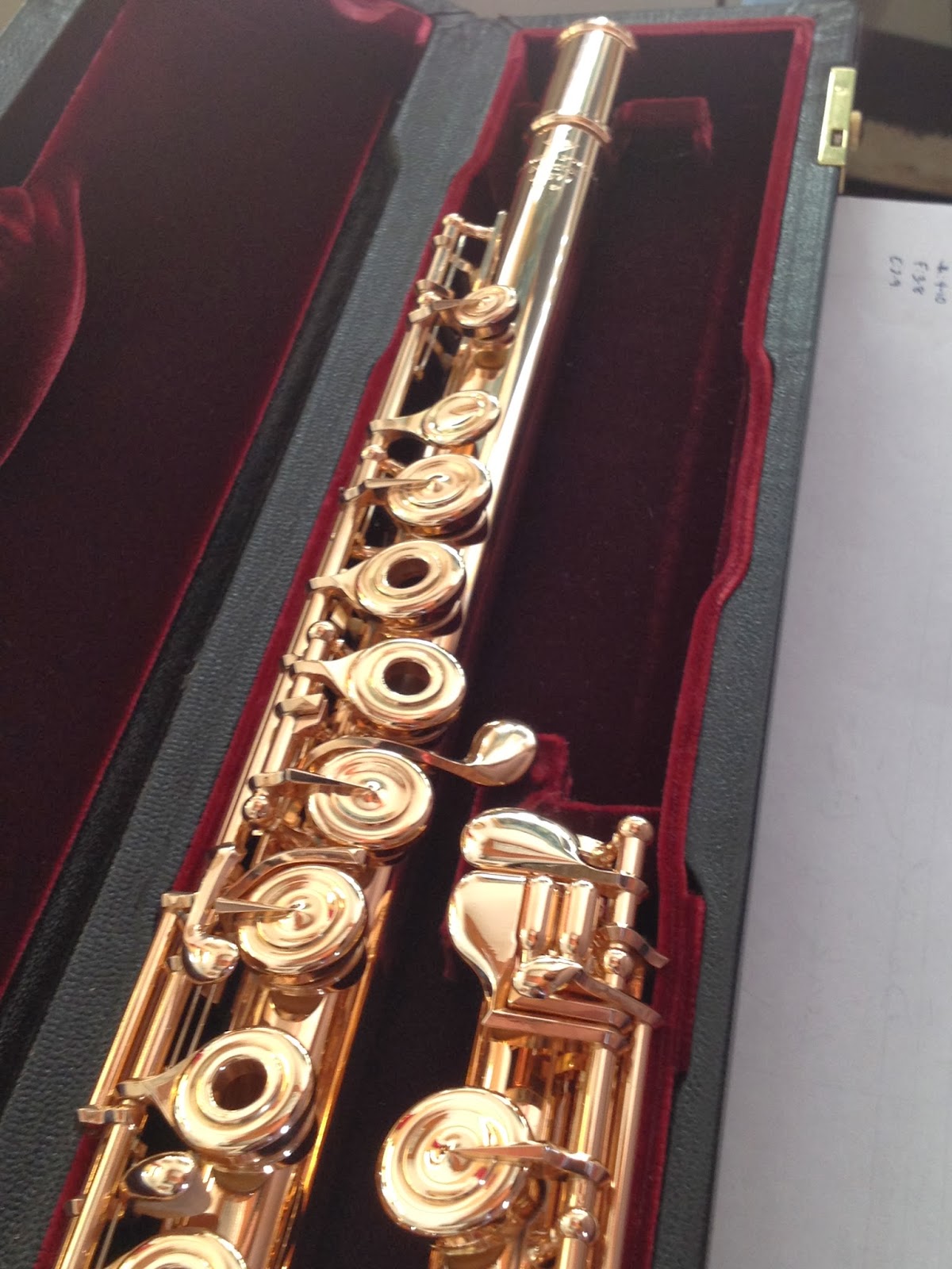 Repair My Flute: Depending on the Case...