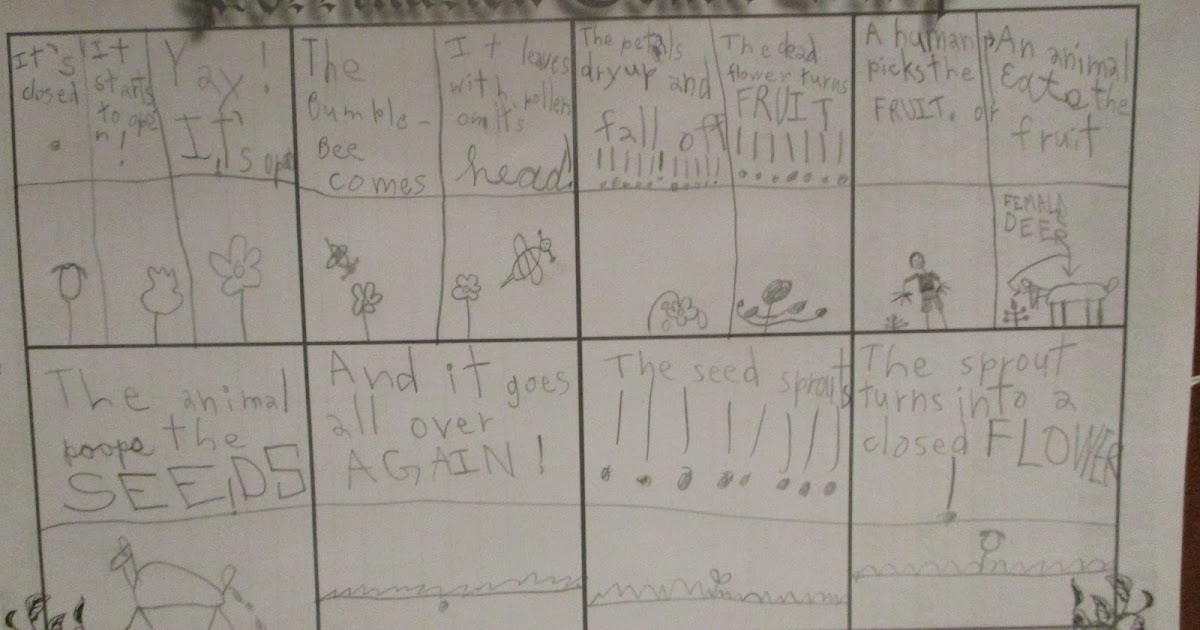 Ad Silvam Ibimus: Ben's Pollination Comic Strip