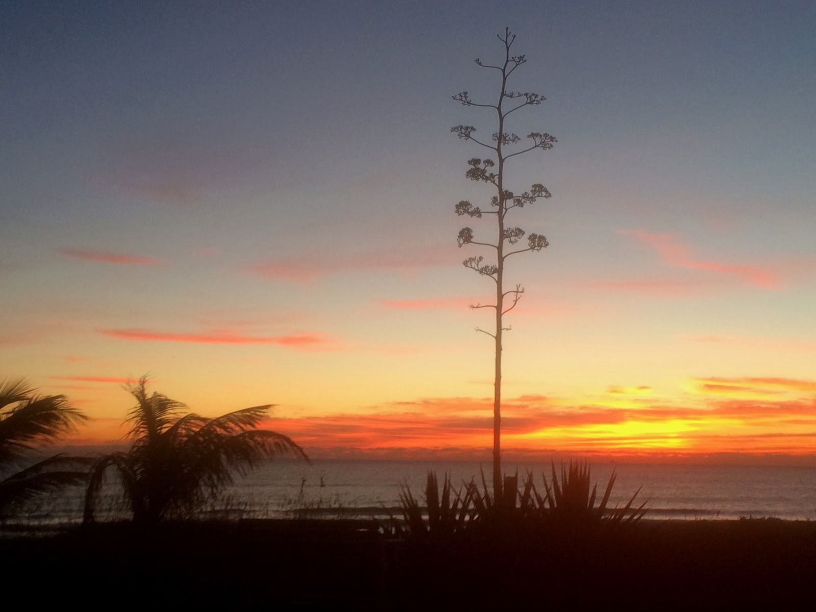 Today in Cocoa Beach: TGIF Sunrise