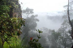 Travel and Adventure Guide in Wild of Indonesia: The Wonderful ...