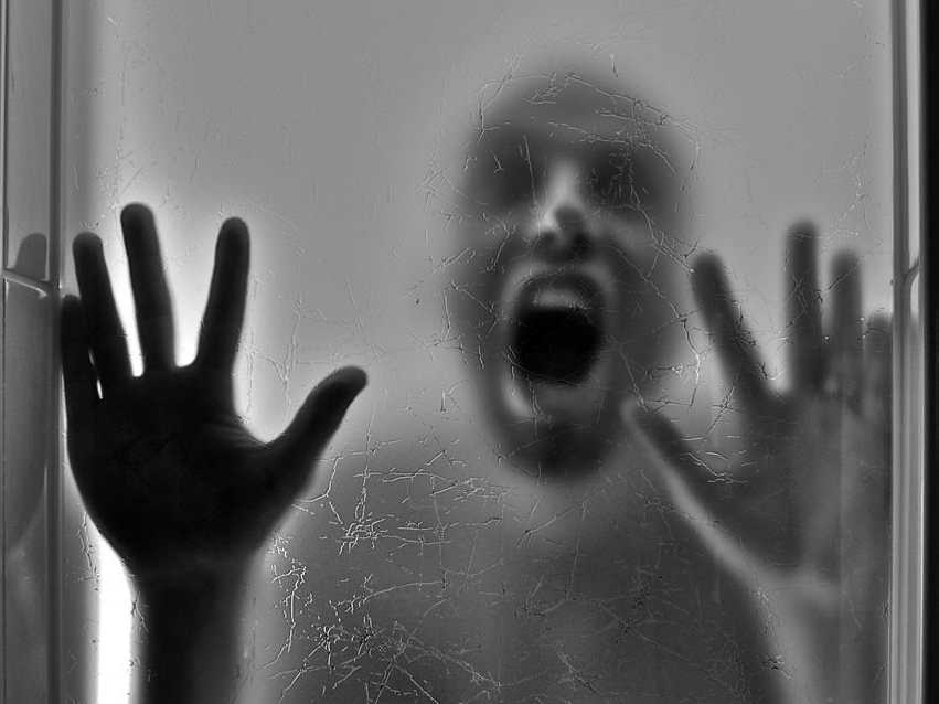 RADIO FREE WOHLMAN: Transmission 5319 - 4 Walls Closing In