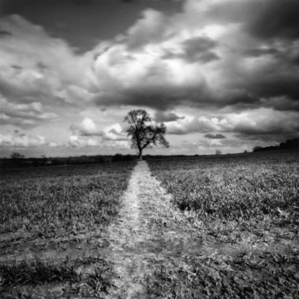 sightlines: Pinhole Landscapes - Take 2