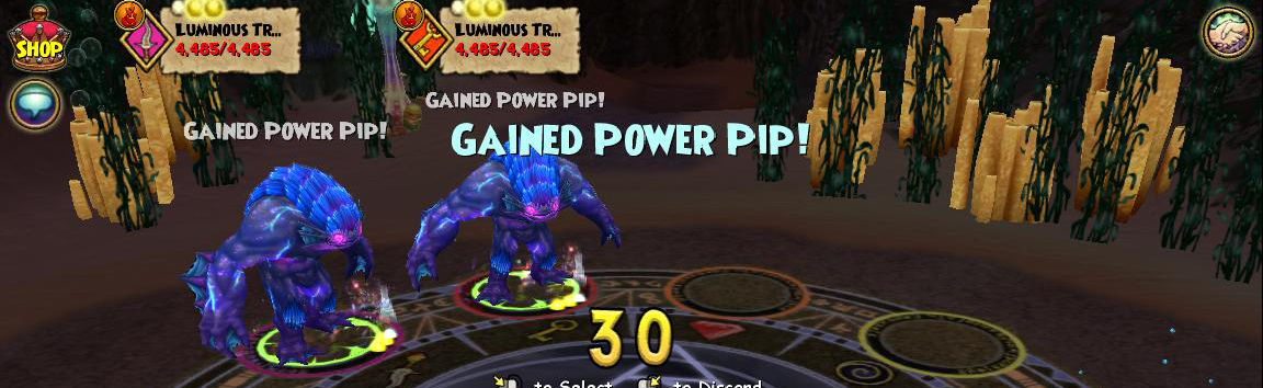 Wizard101 Fantastic Voyage Gauntlet Bundle - Swordroll's Blog ...