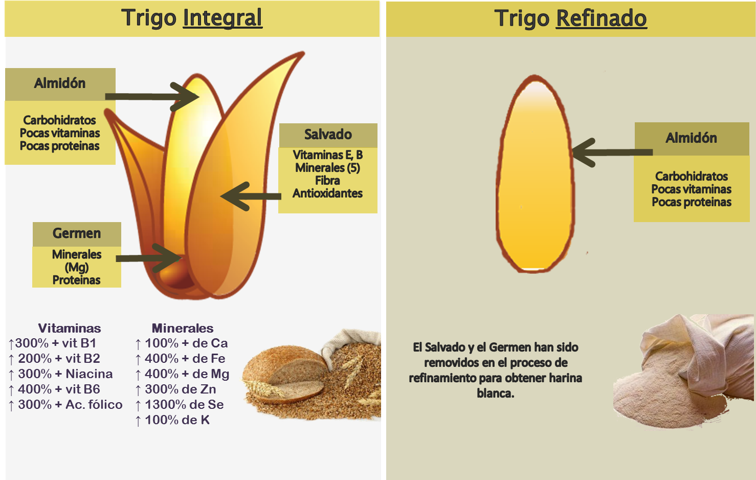 ACAsano: Refinado vs Integral