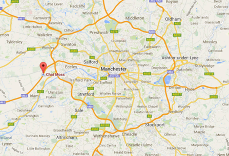 Enterprising Bangor Birder