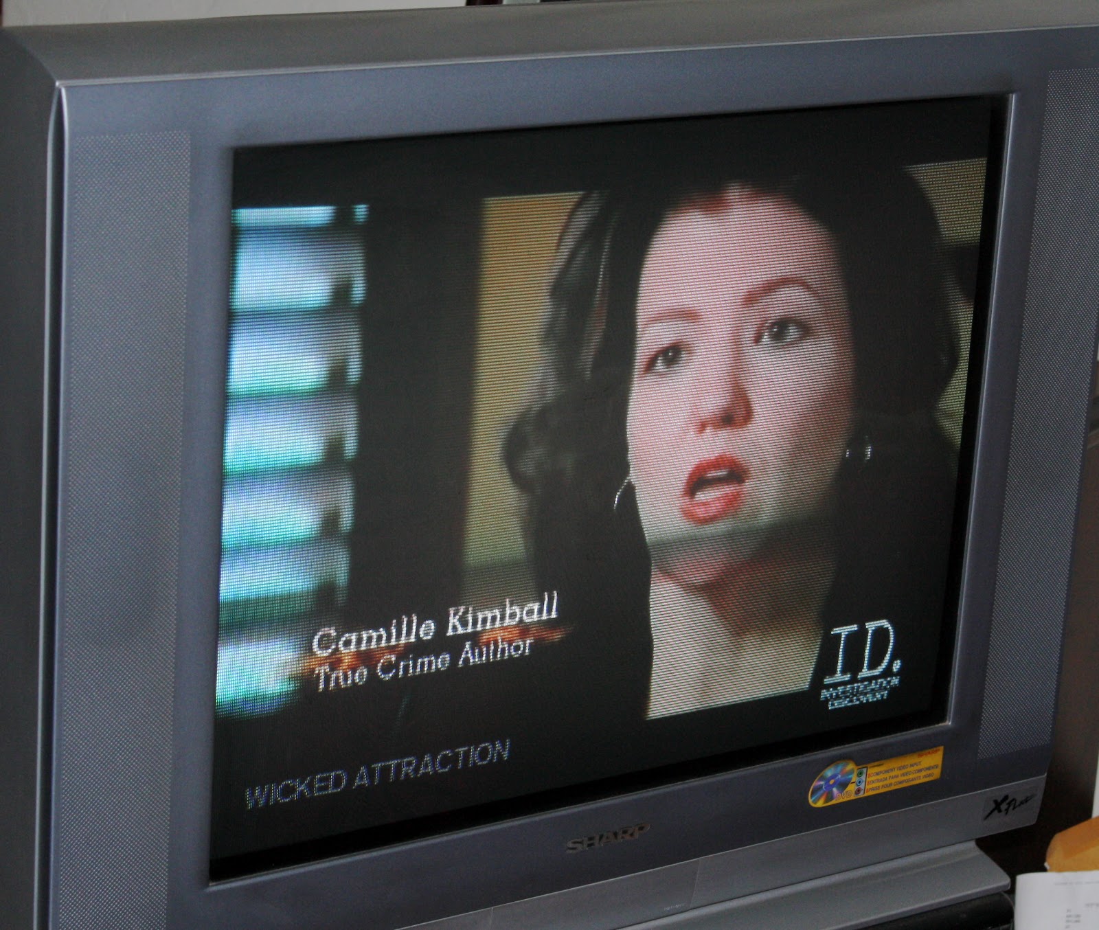 CAMILLE KIMBALL: Confessions of a Slightly Famous Crime Writer: Wicked ...