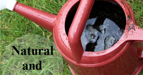 Condo Blues: How to Make Compost Tea Fertilizer