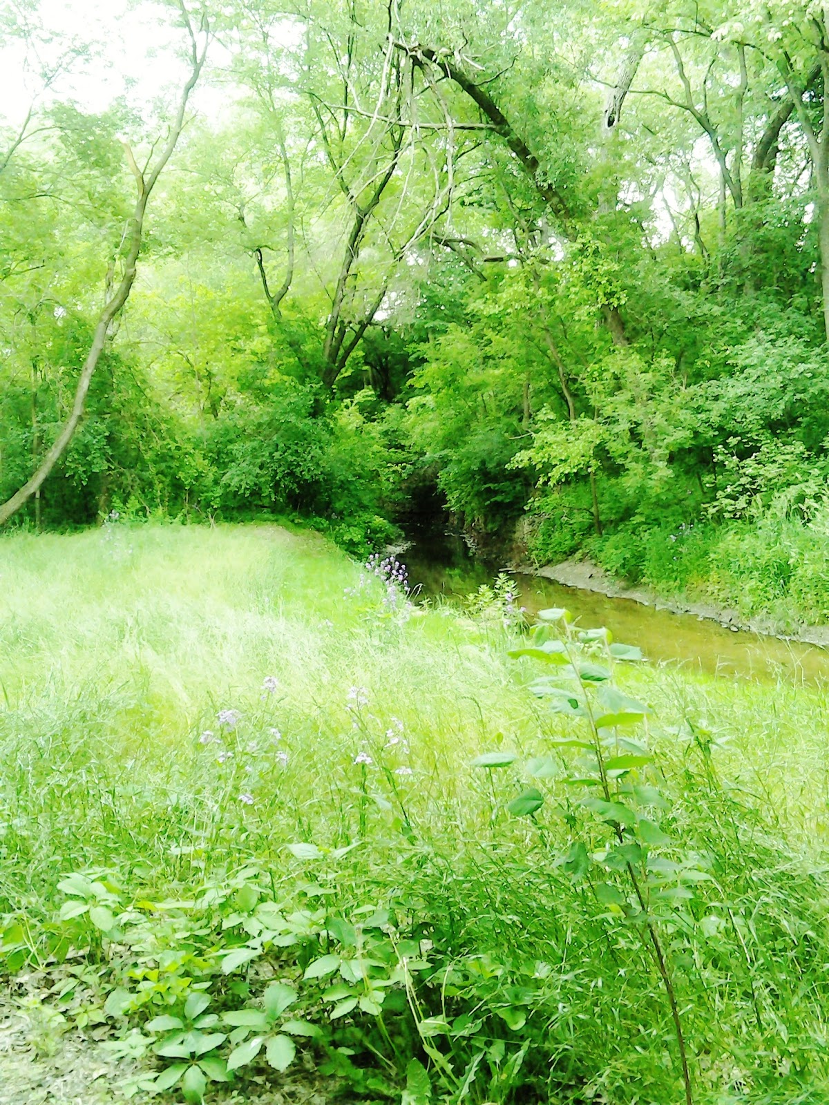 Boyett Bandwagon: Three Blocks Away