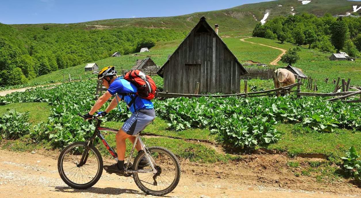 Aitthiphol Thongkam : Blog#7 RURAL TOURISM