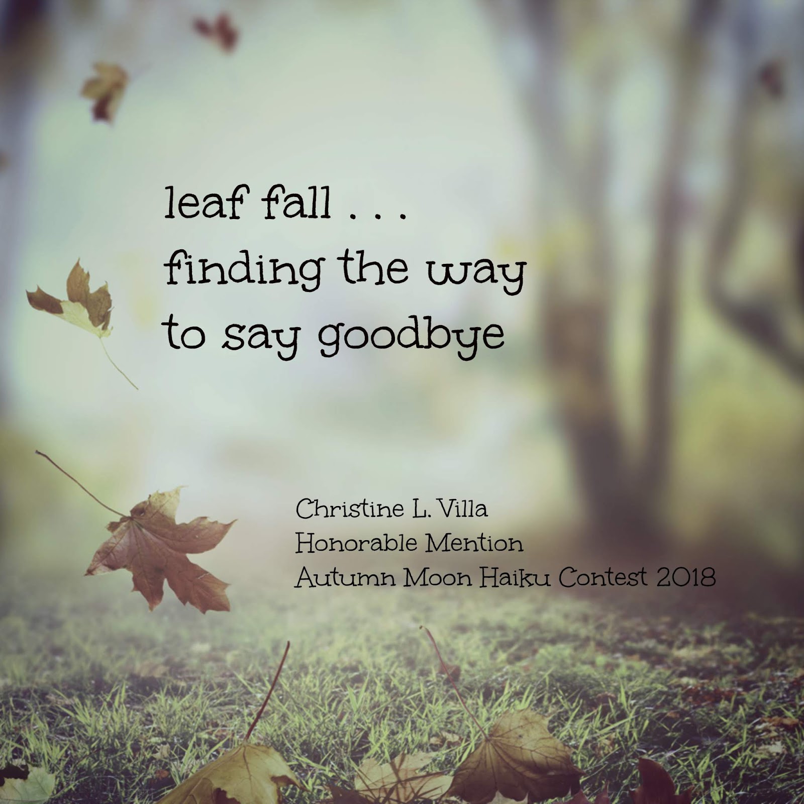 BLOSSOM RAIN: AWARDS