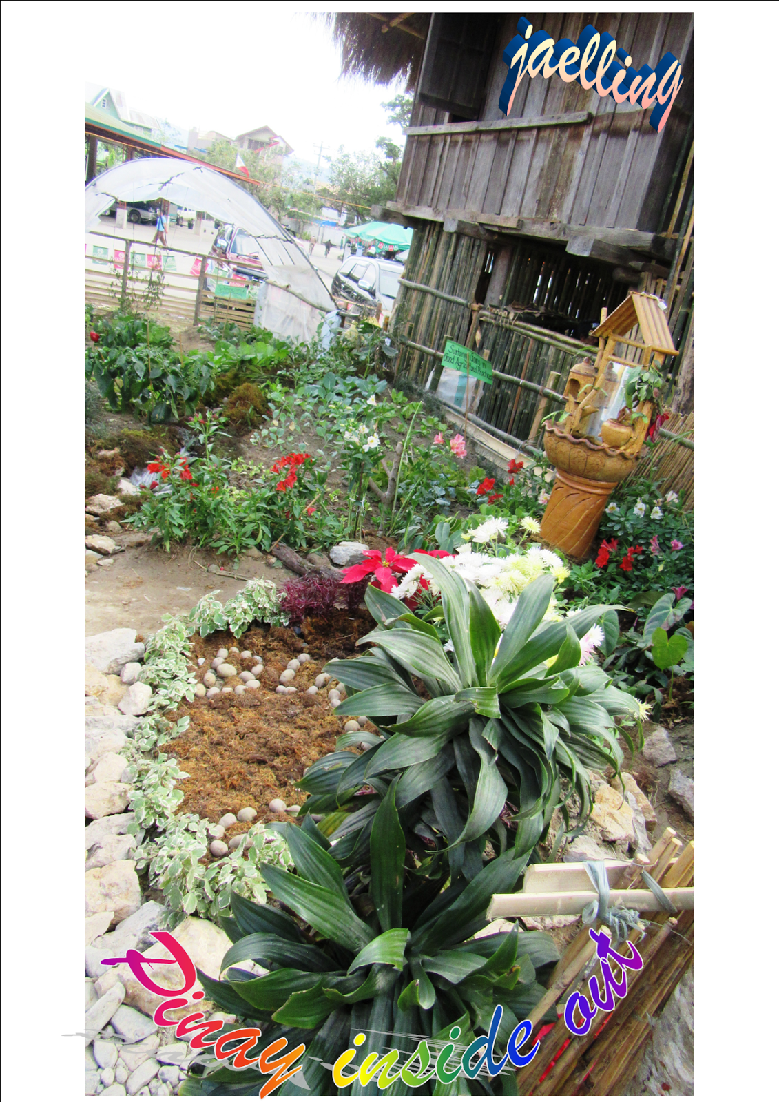 Booth of Buguias, Benguet - Adivay 2015