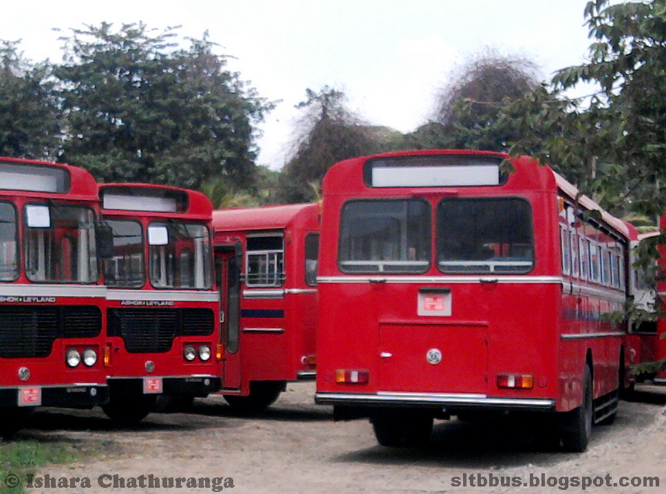 SLTB buses - ශ්‍රී ලංගම බස්: Ashok Leyland Viking 193 Turbo and Ashok ...