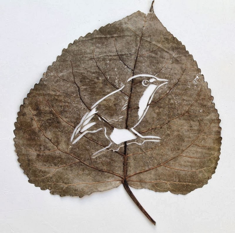 2013 ~ Video-educaţional