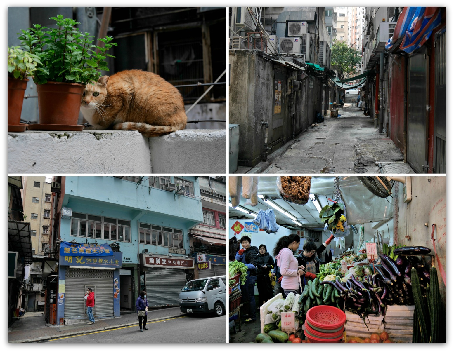 gustia: Little Kitchen by David Forestell