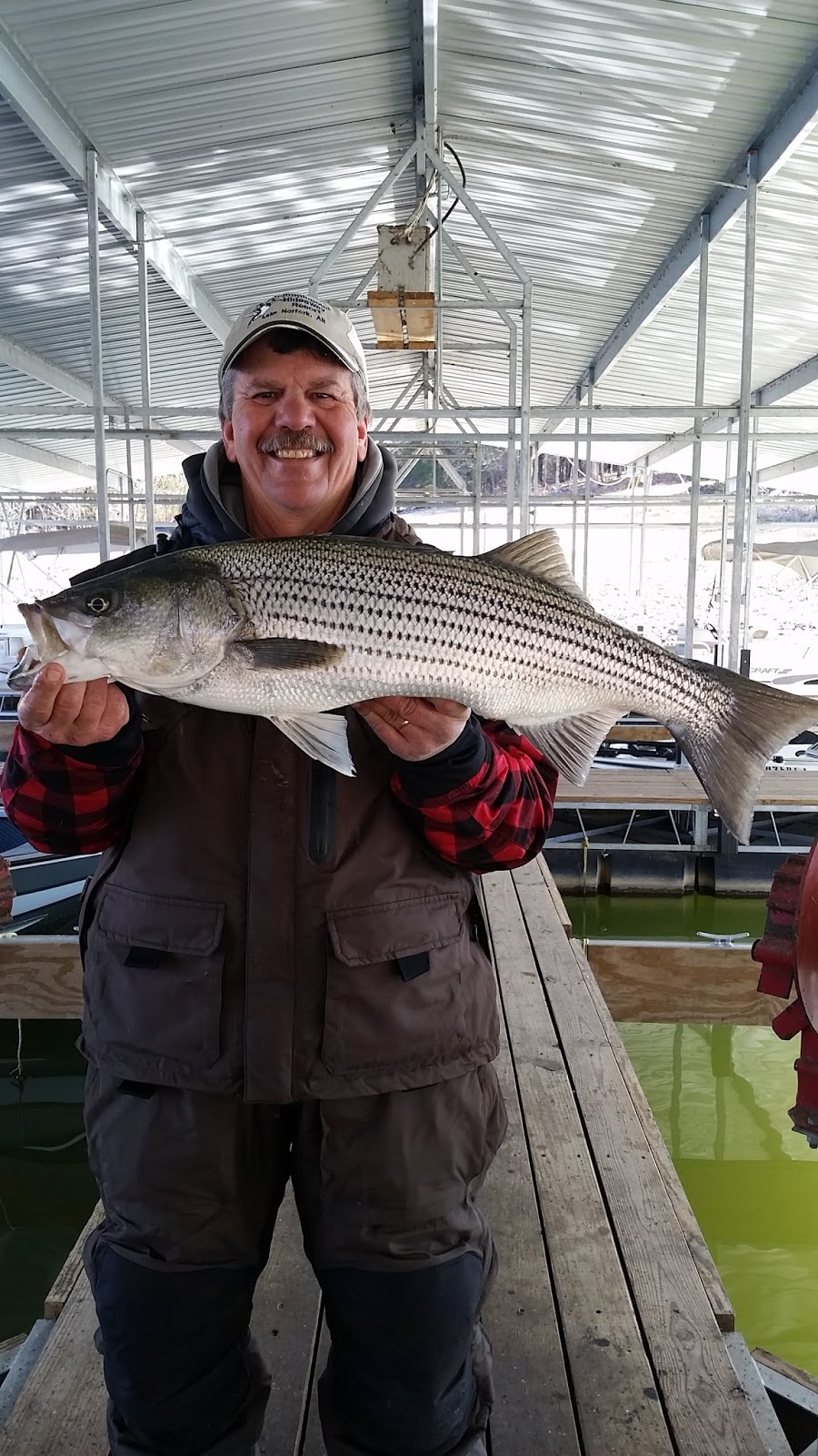 Hummingbird Hideaway Resort on Norfork Lake: Norfork Lake Fishing ...