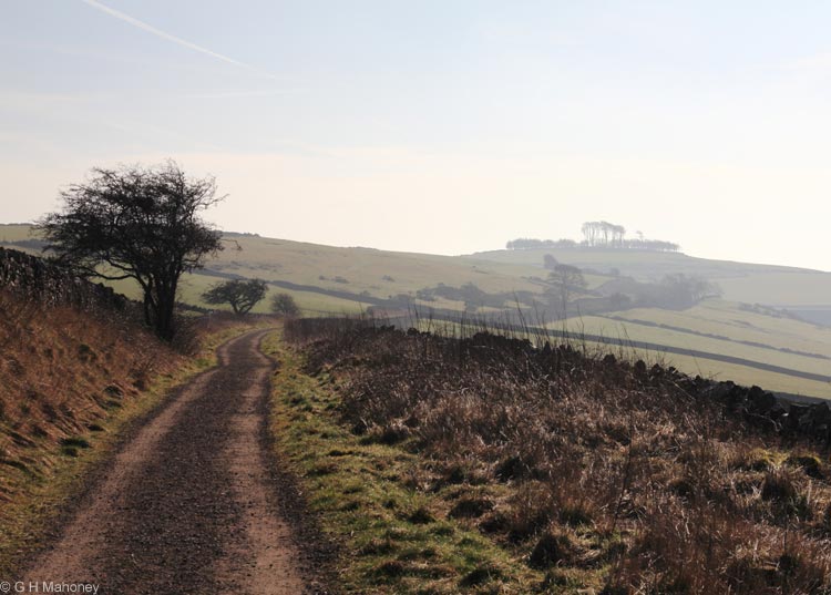 Moorlands and Peak: Minninglow - A Walk