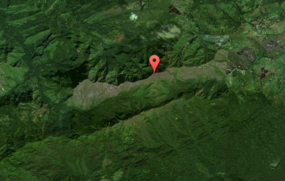 Dendroland: Diario de un Sapito Niñero Oriental (Colostethus Mandelorum)