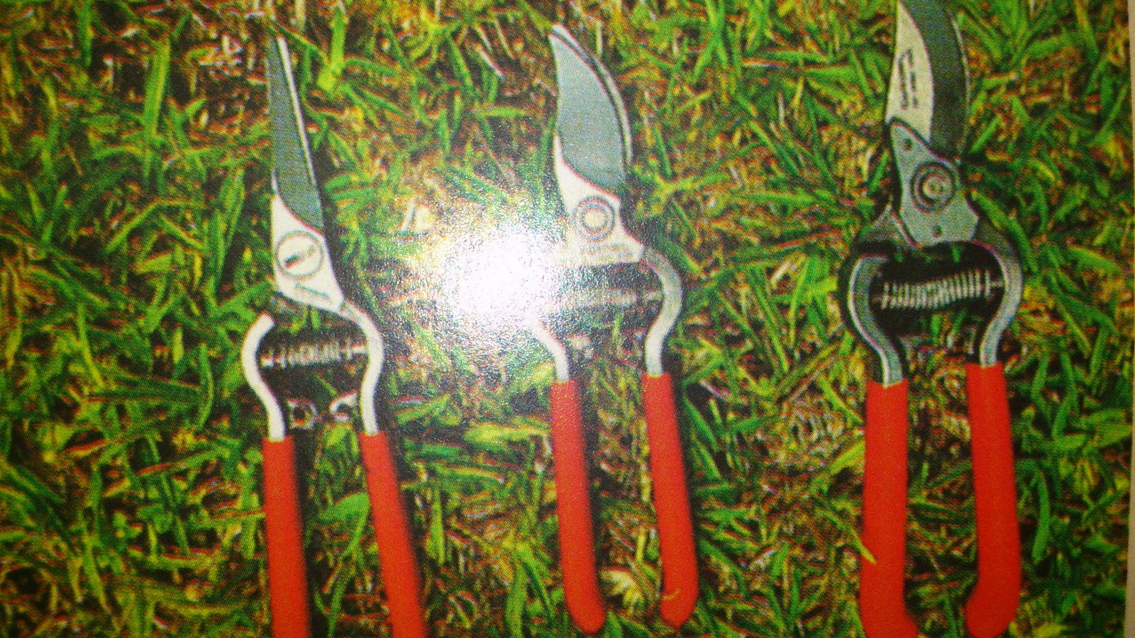 Program Pendidikan Khas Integrasi SK Lereh: Mengenal Alatan Perkebunan