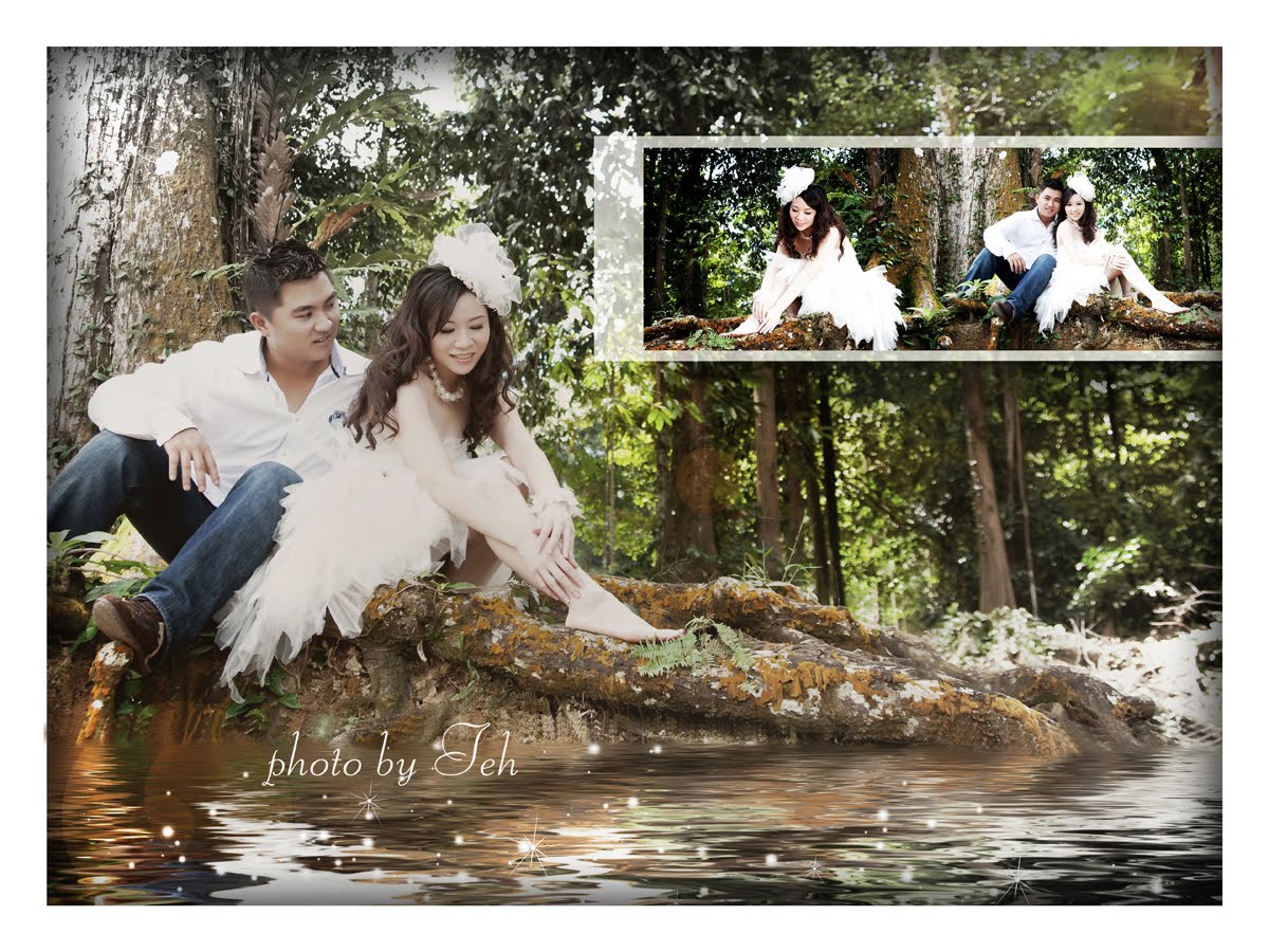 William Teh Photographer: Wedding photo Design
