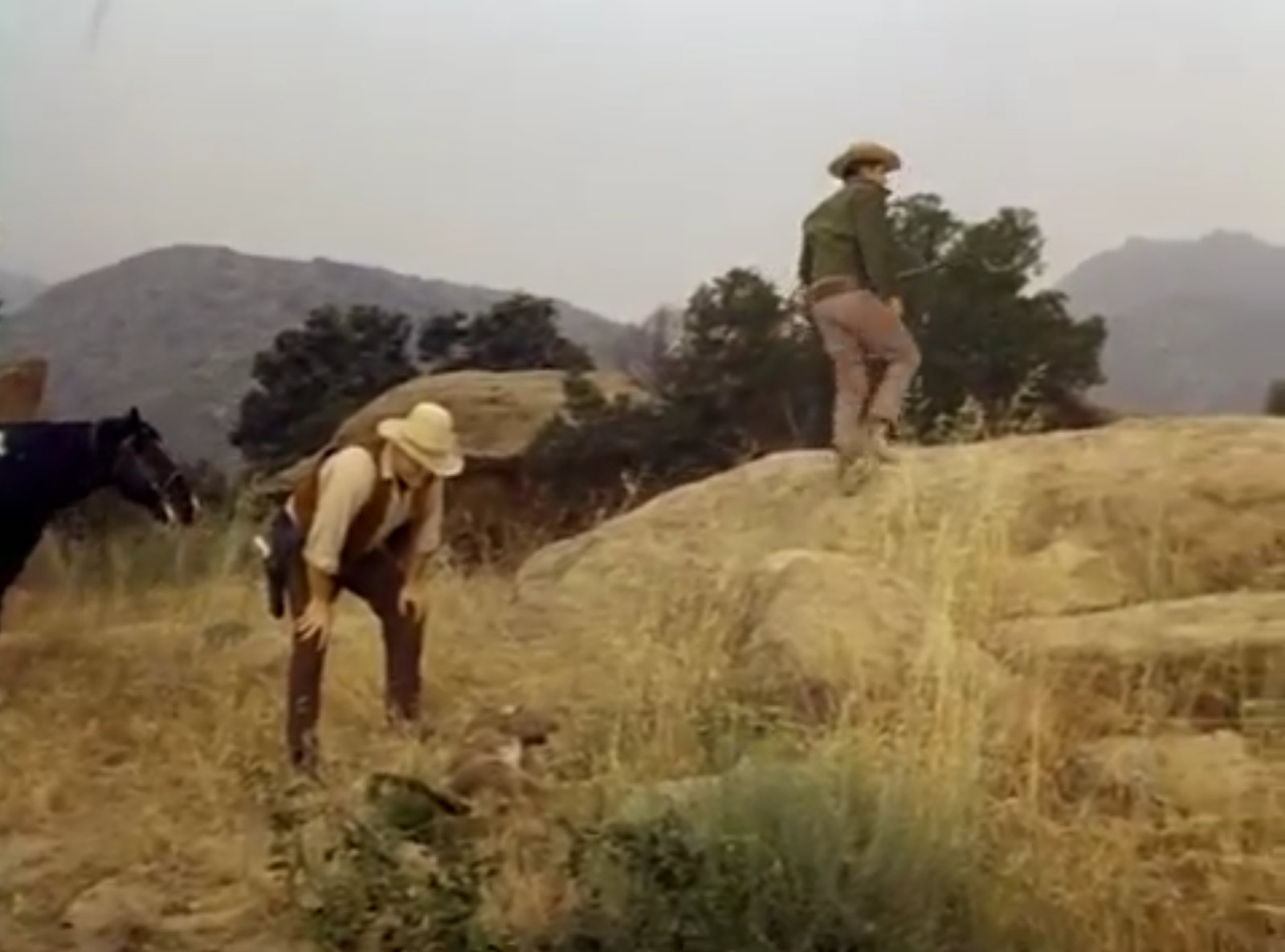 Iverson Movie Ranch: The day "Bonanza" brought a lion to the Iverson ...
