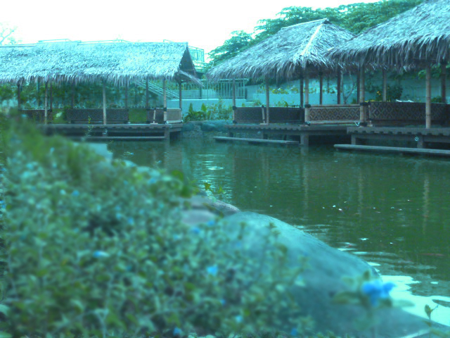 GALERI ~ SAUNG RAWA LELE