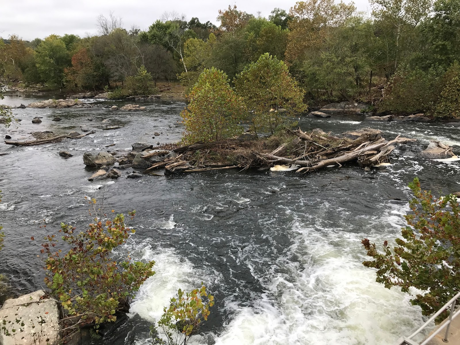 Pat's Addition: 2017