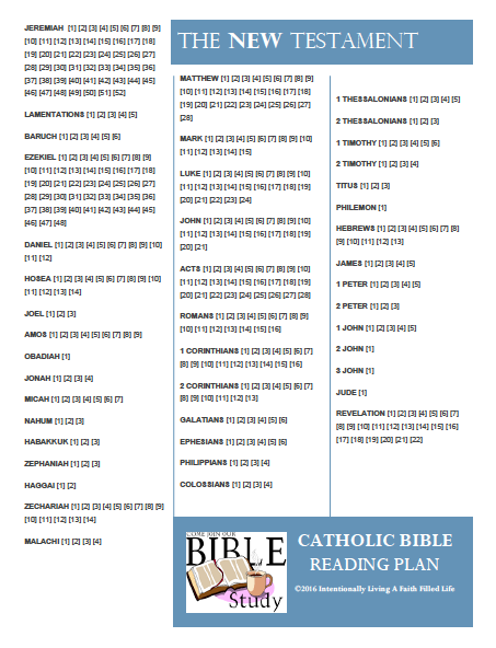 Balanced Living Bible Study Download Our FREE Catholic Bible Reading Plan balanced-living-bible-study-download-our-free-catholic-bible-reading-plan
