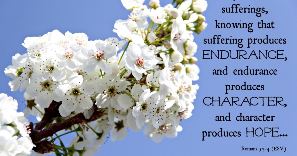 MANUFACTURER'S HANDBOOK: LONG-SUFFERING