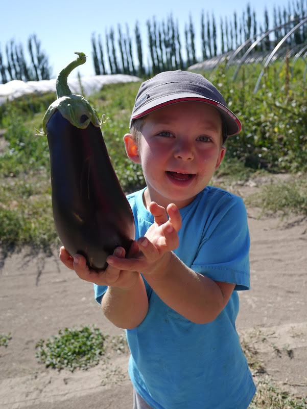 Tips for Bringing Little Children to a U-Pick - Backwoods Mama