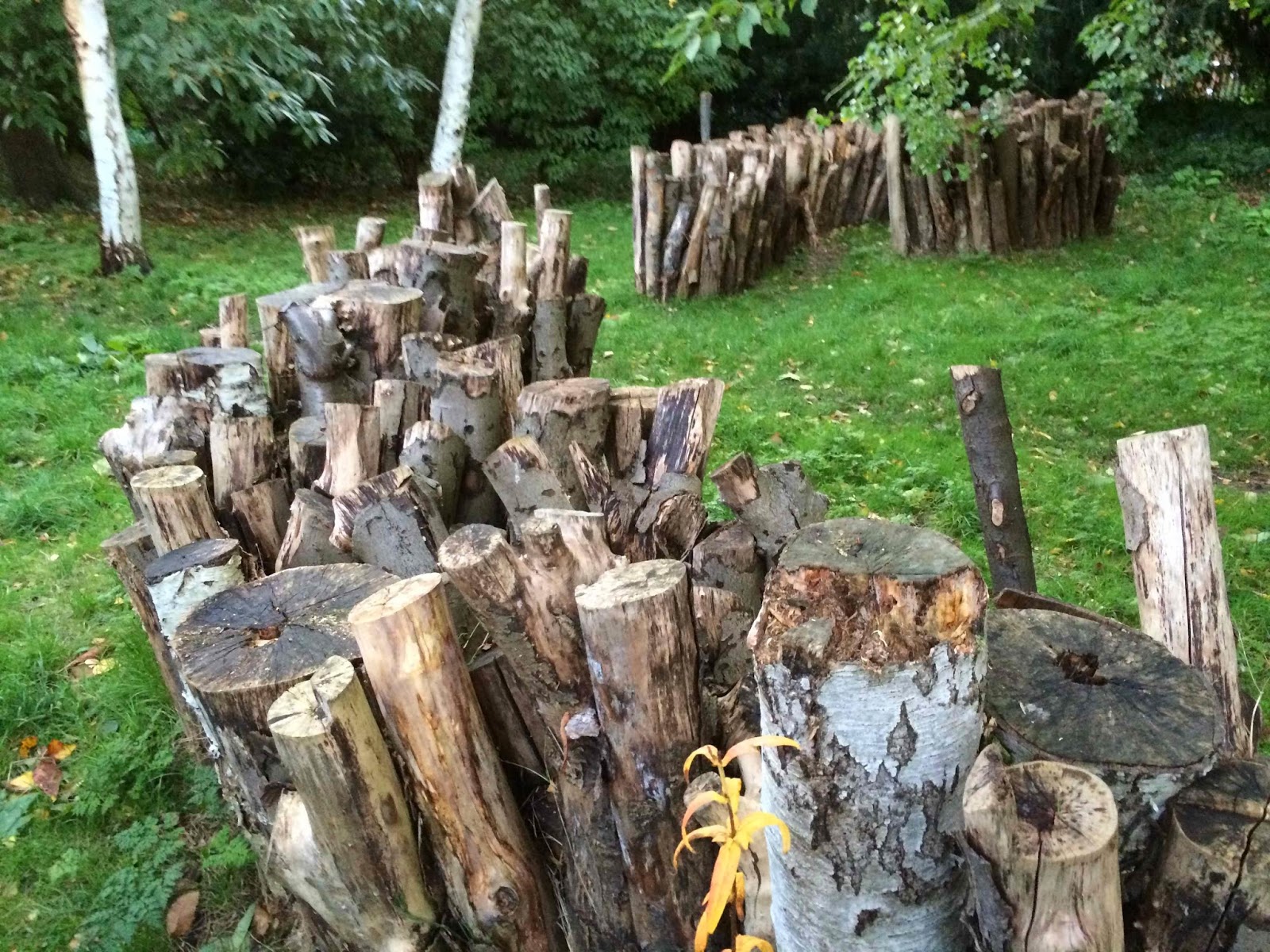 Ealing Dean Allotment Society: RADBOURNE WALK