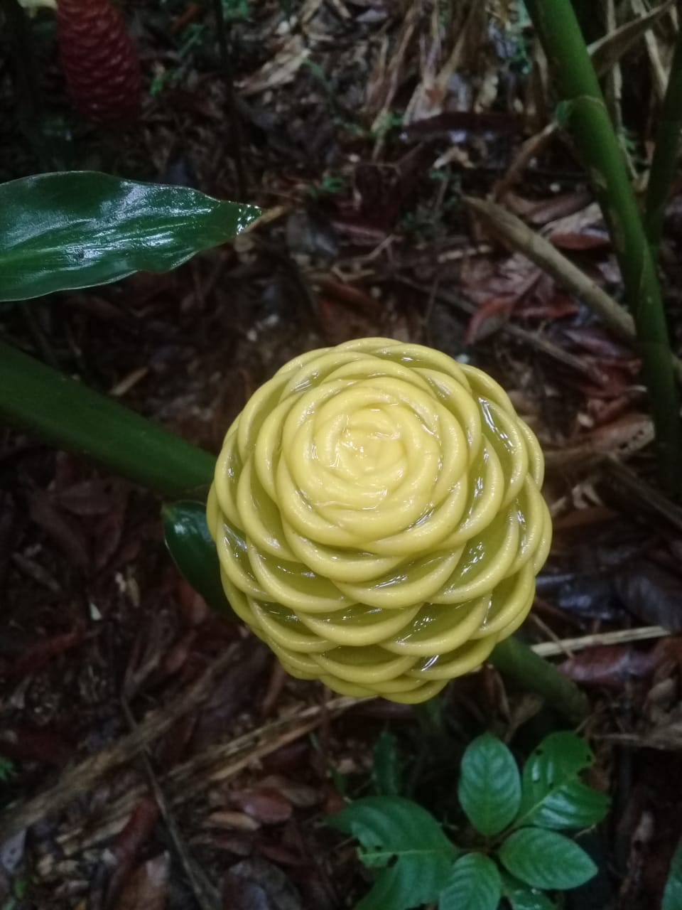 ECOTURISMOCOMUNITARIO