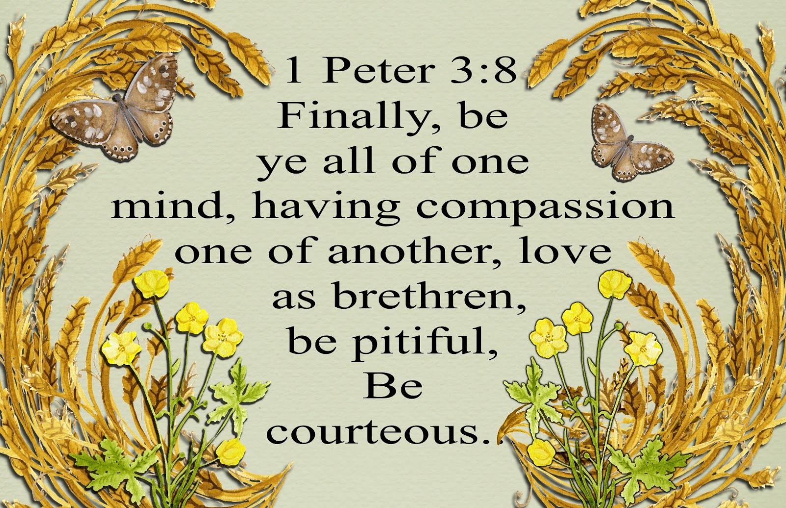 1 Peter 3:8 - Compassion, Be Courteous