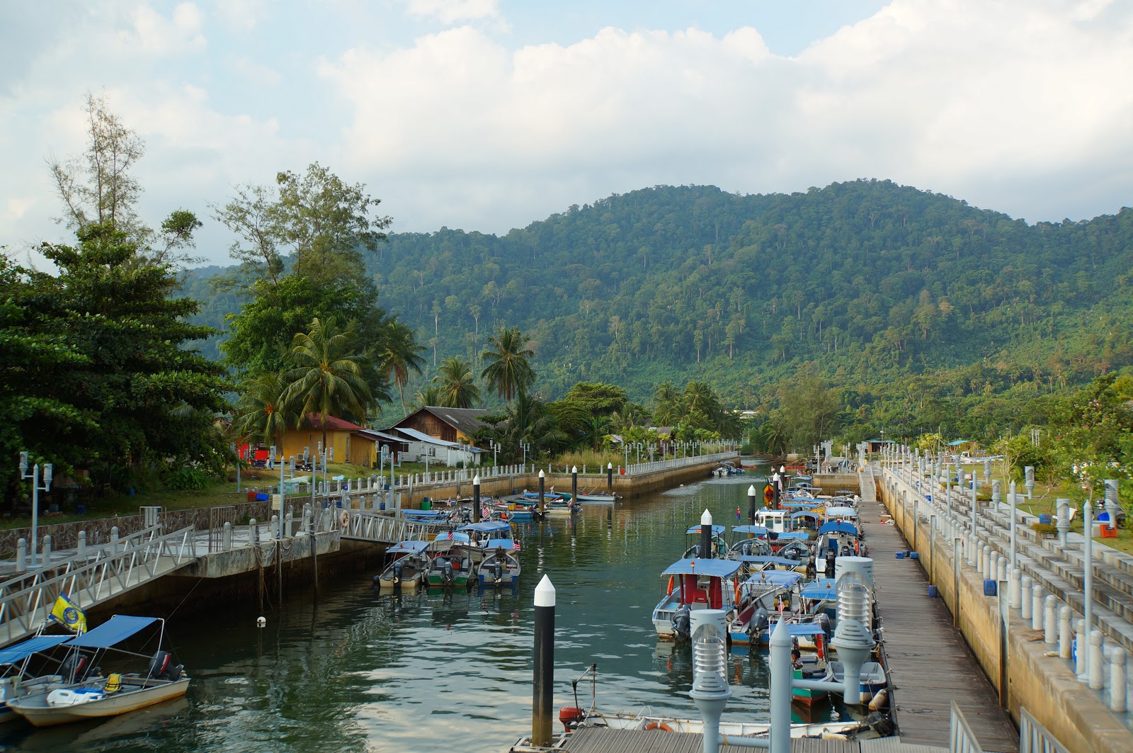 Malaisie - jour 10 : Tioman - Jungle trek vers Monkey Bay - Tekek
