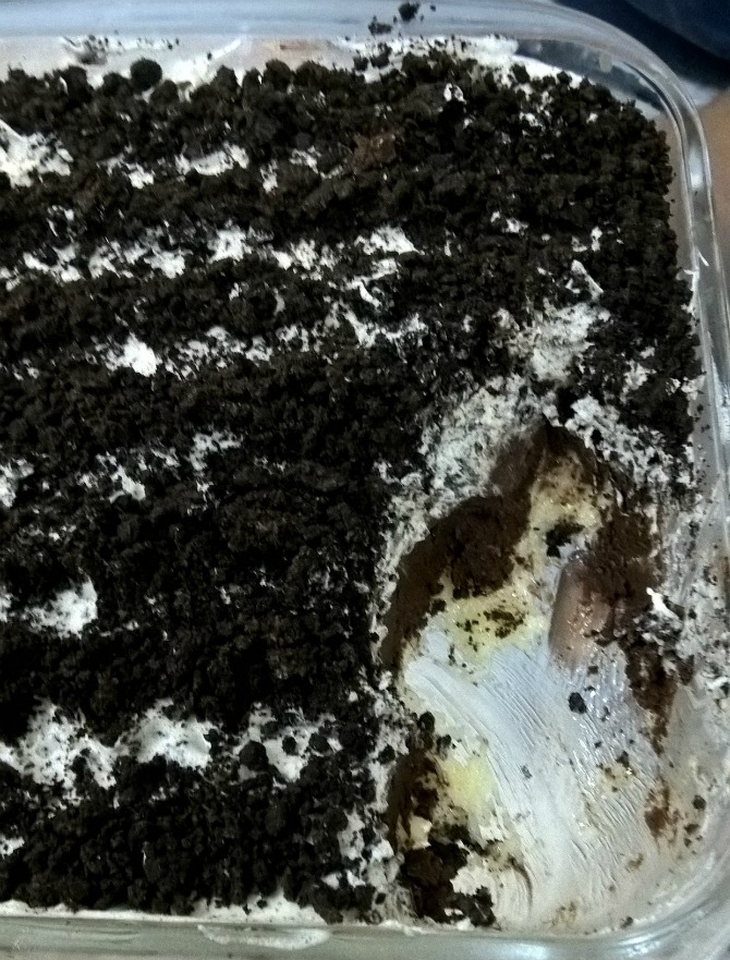 The Bounty Pudding | Chocolate and Coconut Pudding - butfirstchai.com