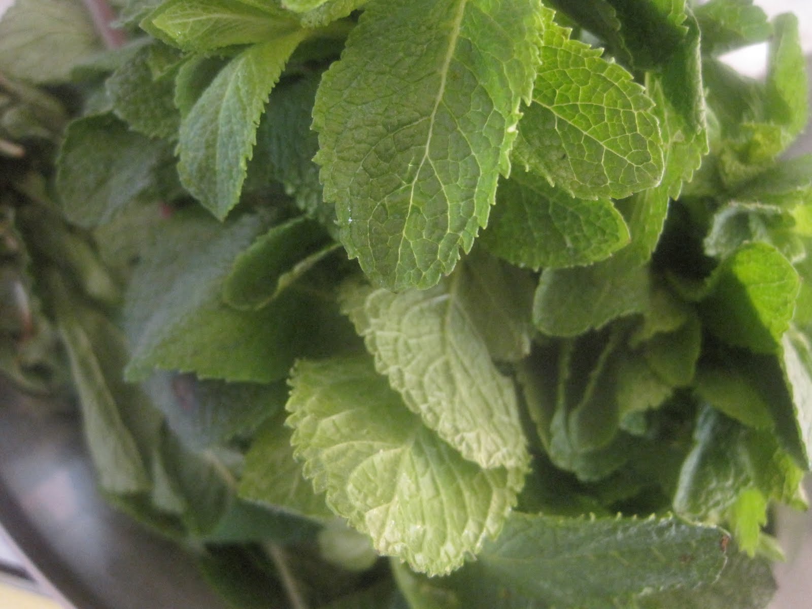 Thé Marocain Sahraoui ou Sa7rawi - Atay Sa7rawi Marocain - Sud du Maroc