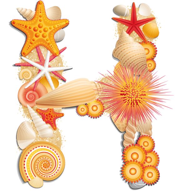 Escuela infantil castillo de Blanca: ALFABETO CON CONCHAS