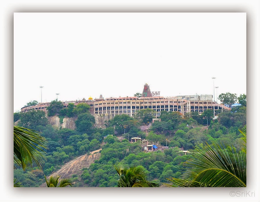 Pazhani | Travel Enthusiasts